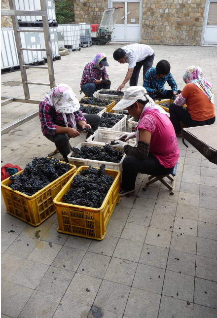 A territory revealed: shining a light on Long Dai - Domaines Barons de ...