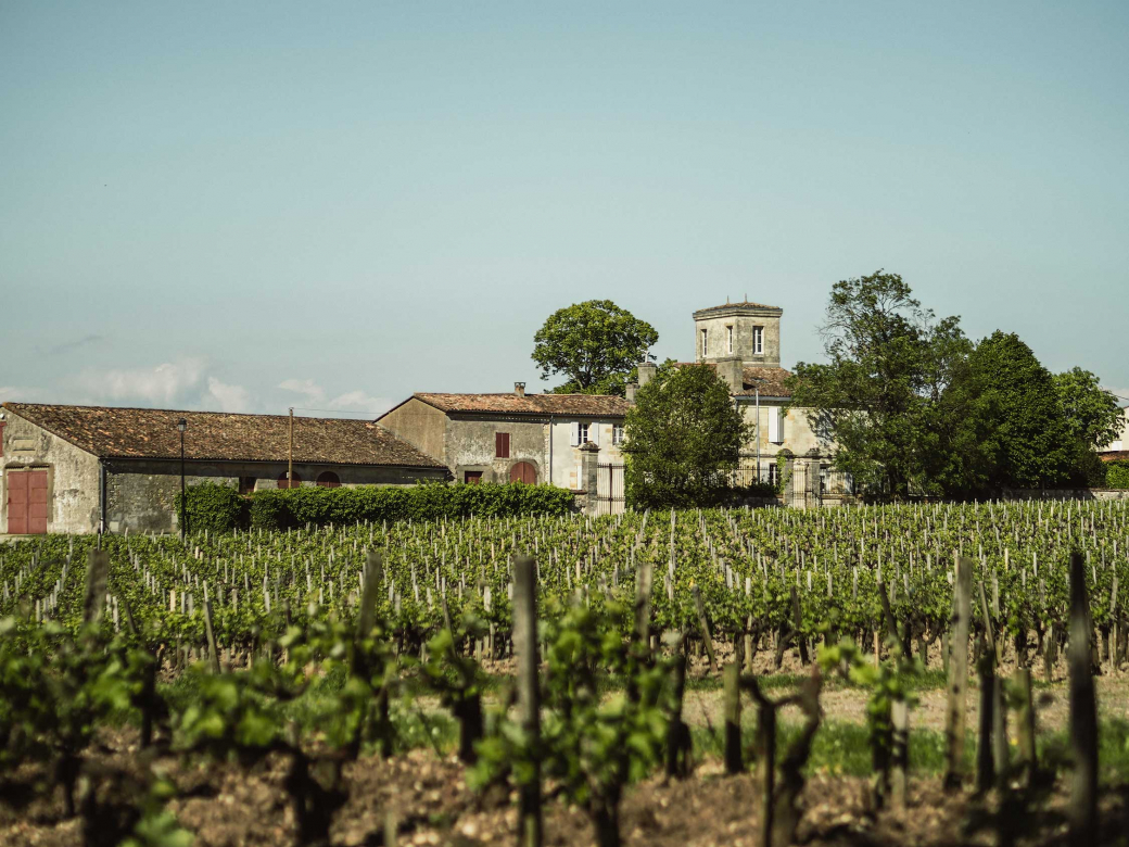 Observe - Anseillan - Domaines Barons de Rothschild (Lafite)