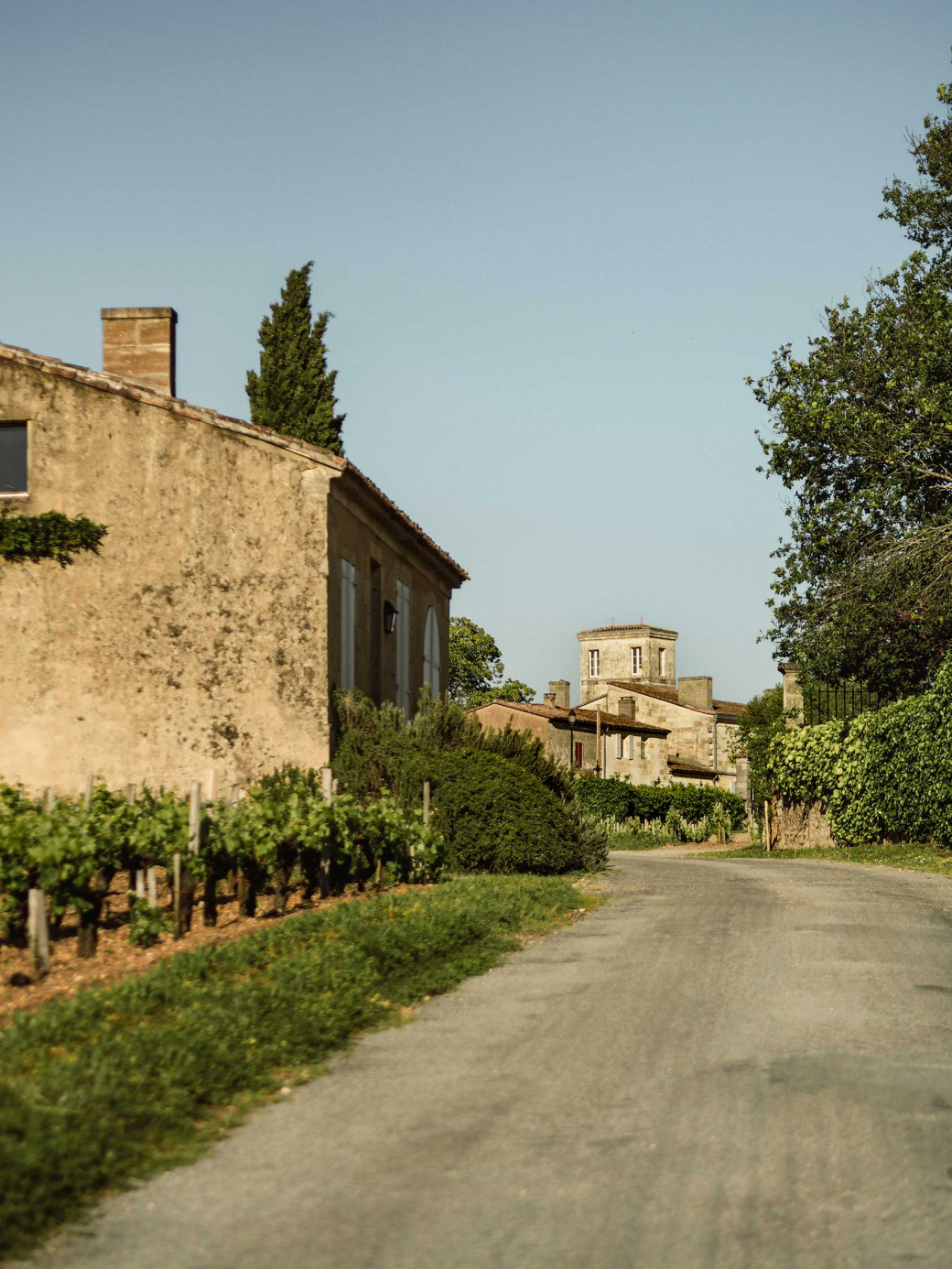 Observe - Anseillan - Domaines Barons de Rothschild (Lafite)
