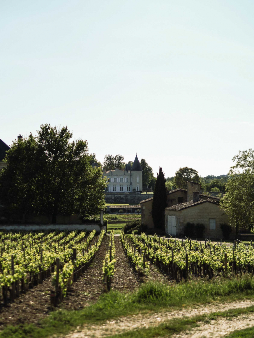 Observe - Château Lafite Rothschild - Domaines Barons de Rothschild ...